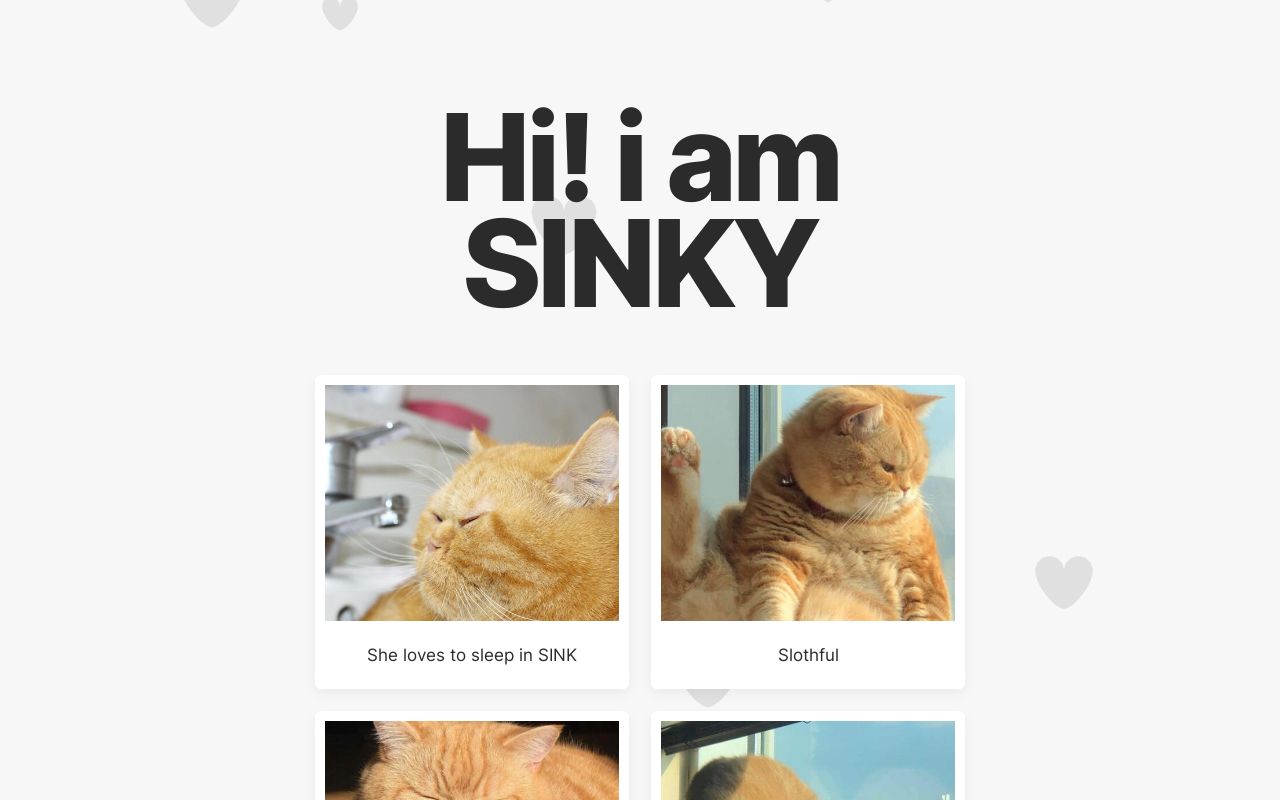SINKY